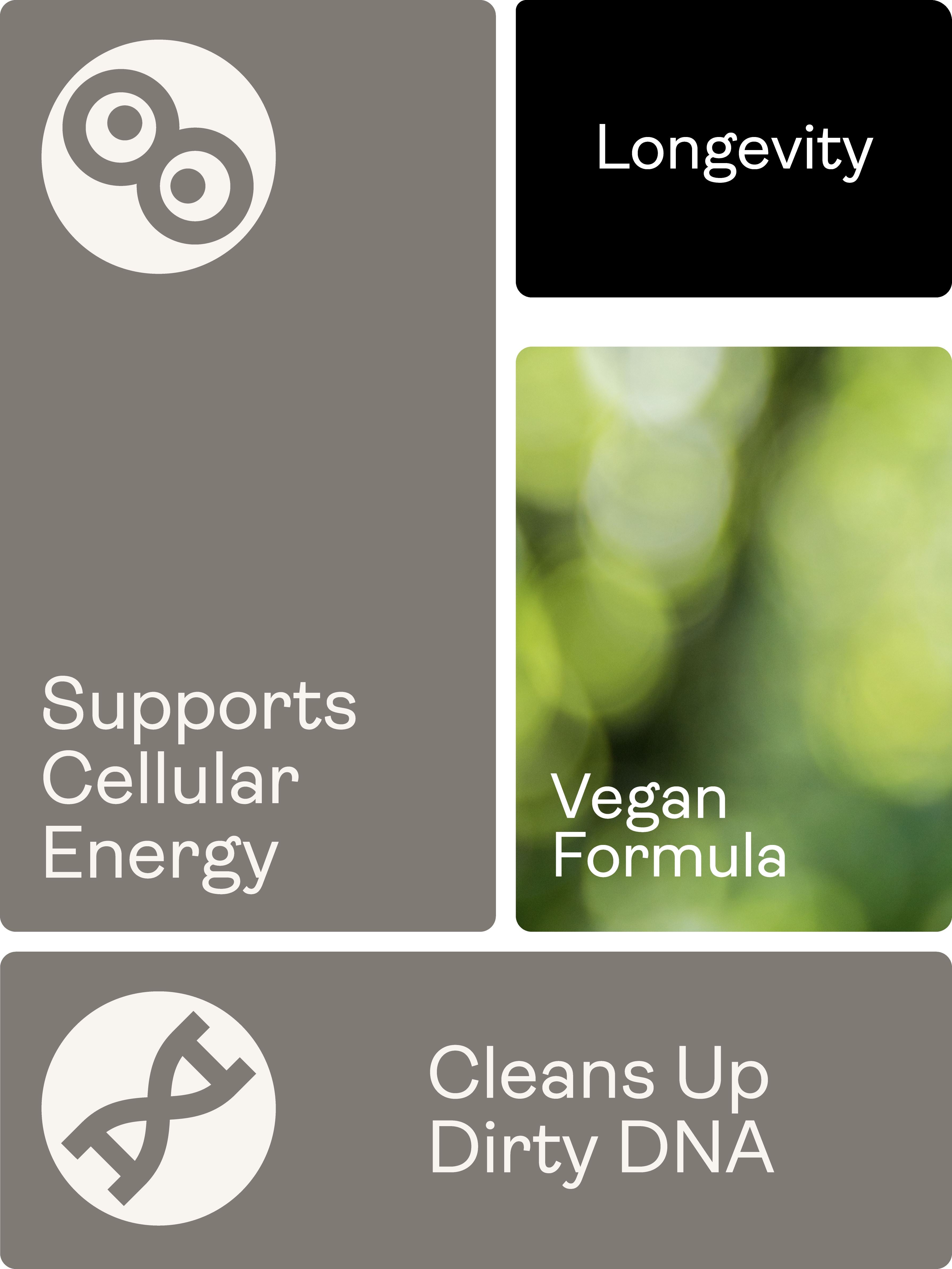 Calcium Alpha Keto-Glutarate (CALCIUM AKG) 60 Capsules | Youth & Earth ...