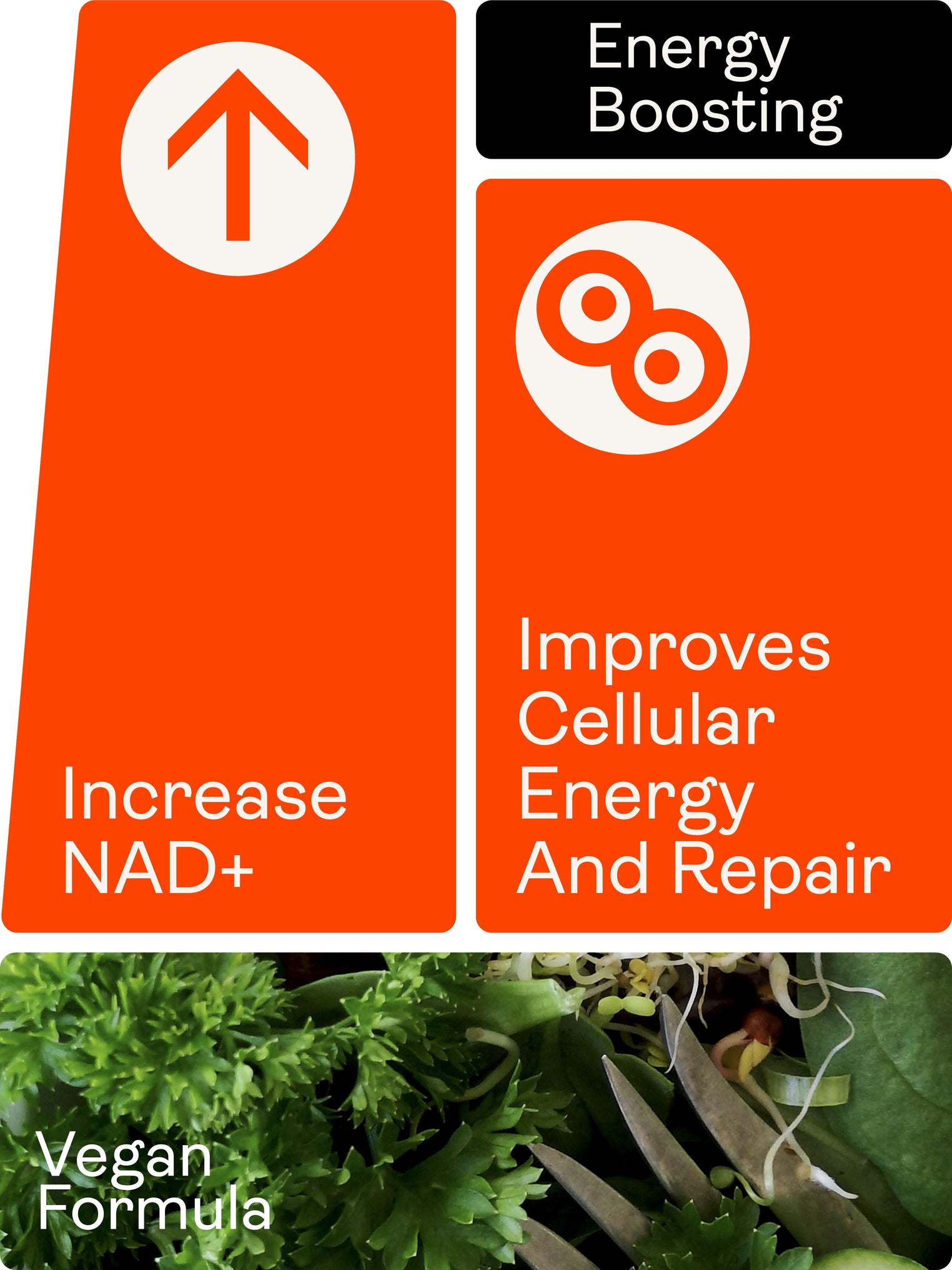 NAD+ Boosters for Your Health - youthandearth